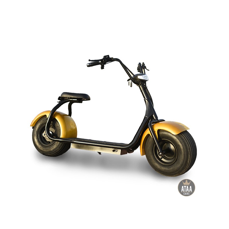 New electric motorcycle CityCoco 1000w battery 60v. The scooter electric...